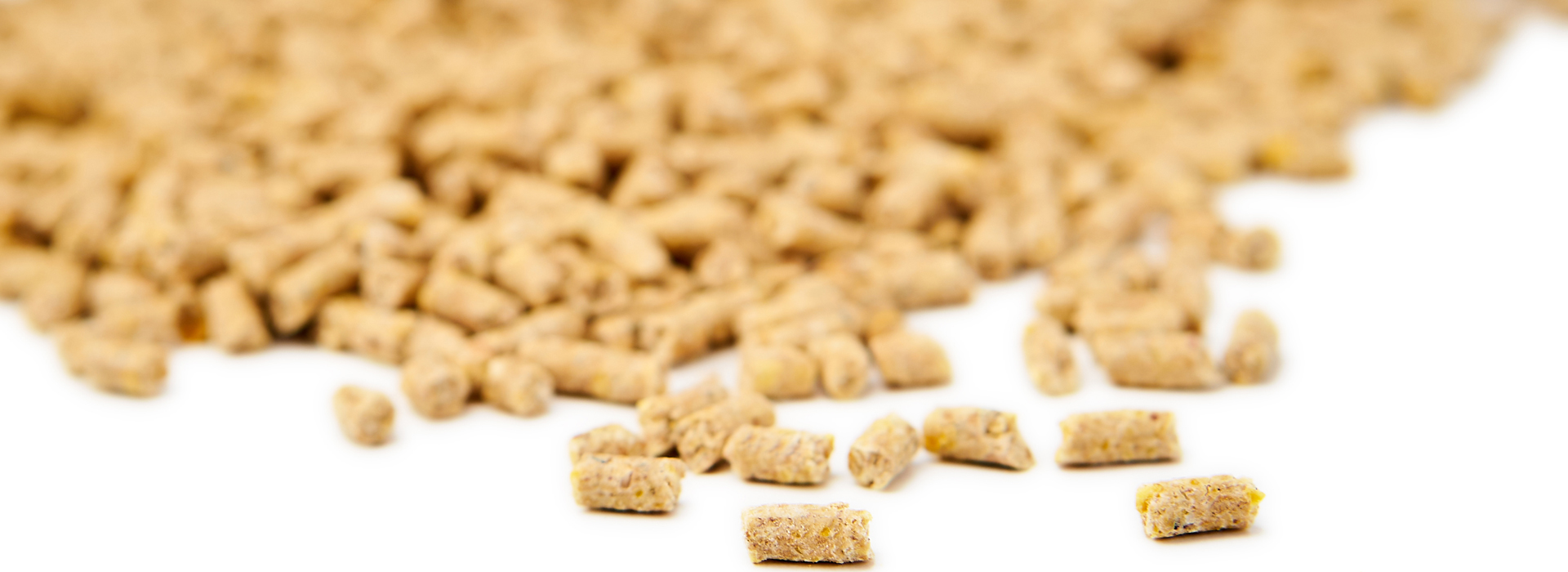 Yemmak | The Effect of Conditioning on Pellet Quality